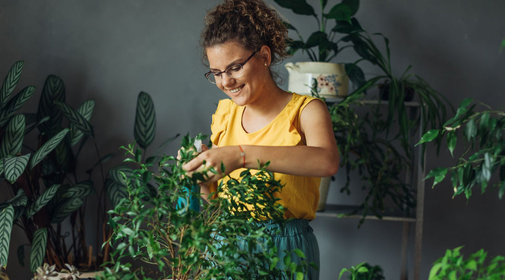 Environmental Wellness – ModifyHealth