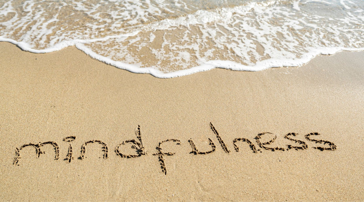 Mindfulness Guide – ModifyHealth