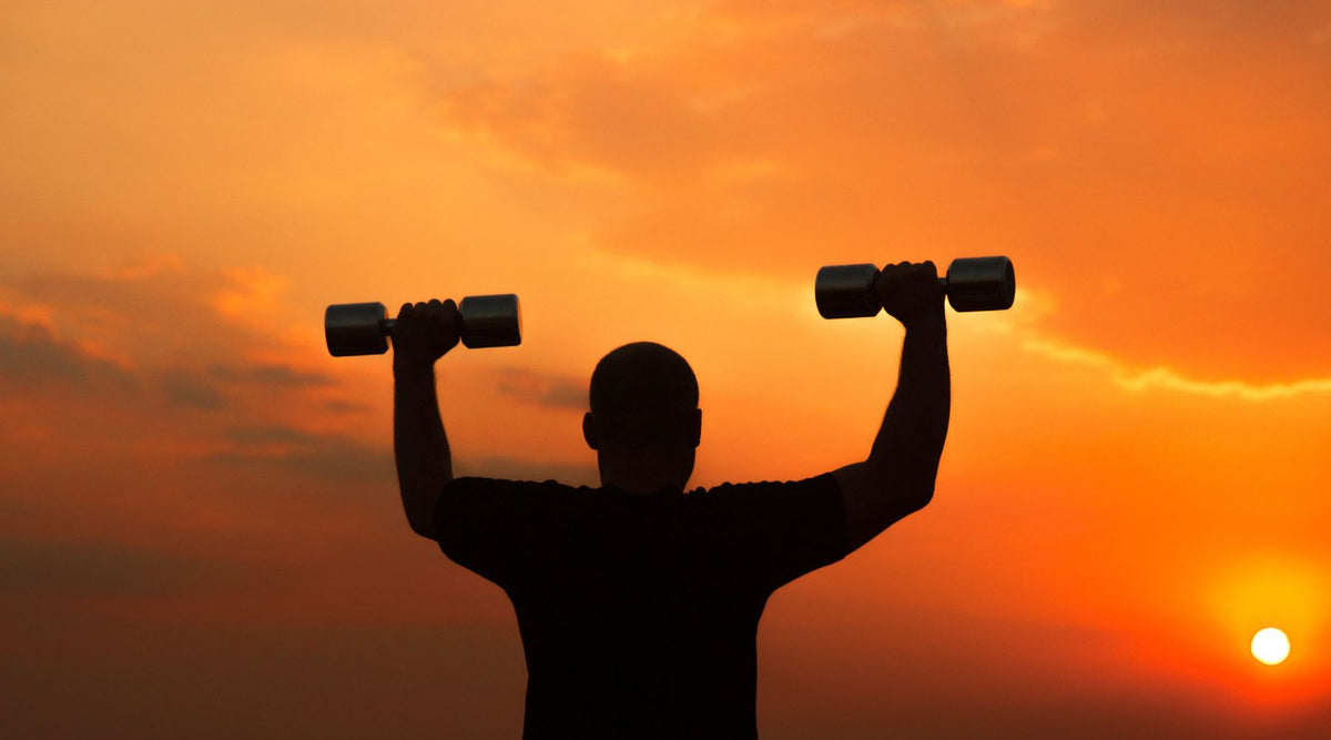 Maintaining Muscle Mass Guide – ModifyHealth
