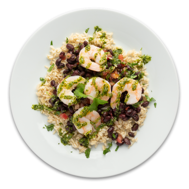 Diets – ModifyHealth