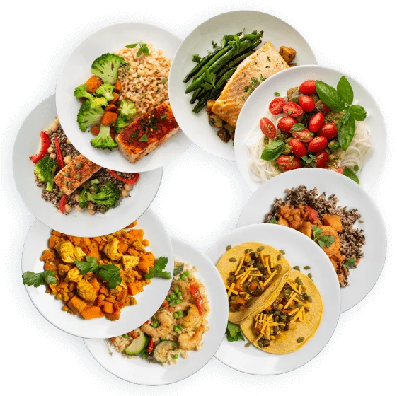 How ModifyHealth Works