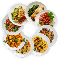 How ModifyHealth Works